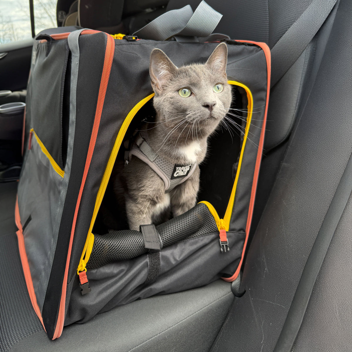 Travel Cat Wholesale